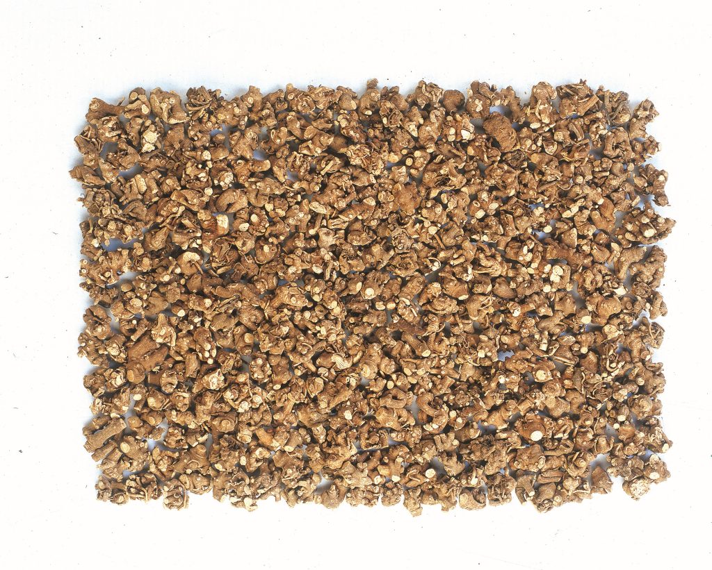 Ganthoda Powder (Pipra Mul / Piper Root Powder) - Best Masala Shop in ...